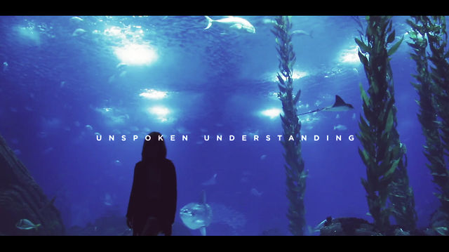UNSPOKEN UNDERSTANDING (2012) | Portugalfantastico.com